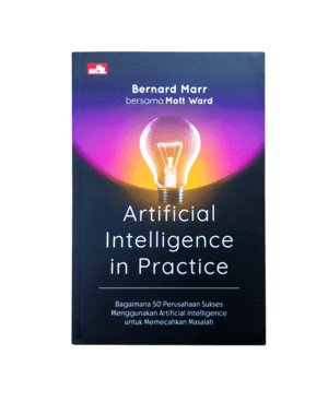 Artificial Intelligence in Practice